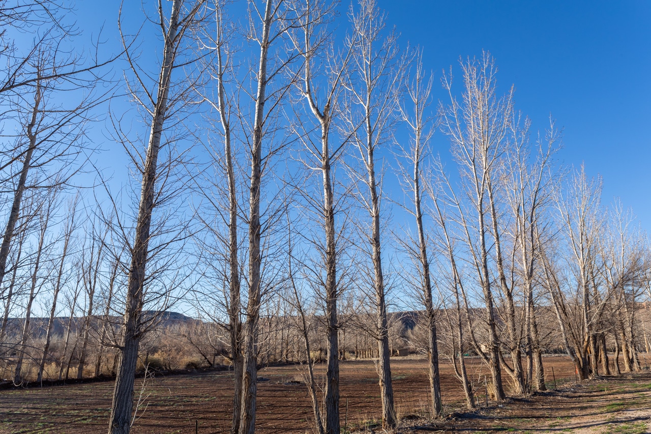 Perspective Control - ColdSnap Photography